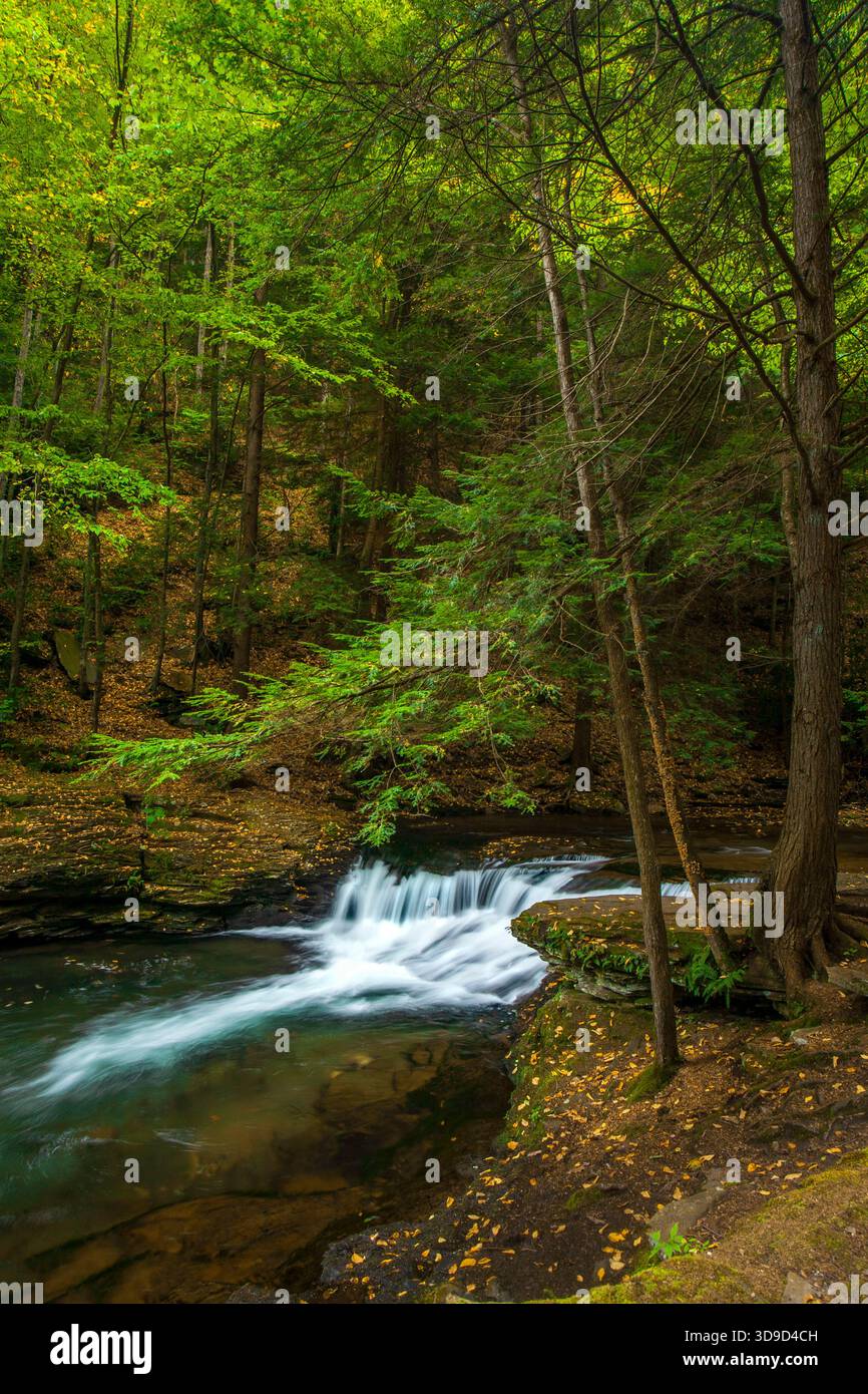 Wykoff run hi-res stock photography and images - Alamy