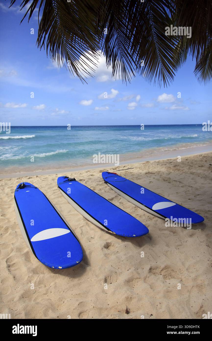 Surfboards at Dover beach on island Barbados on sandy shore by ocean ...