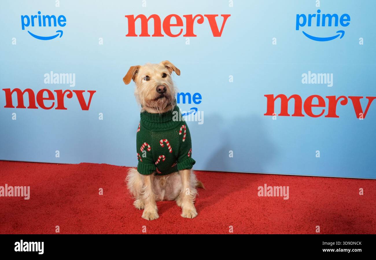 Gus the Dog poses for photographers at a special screening of the film ...