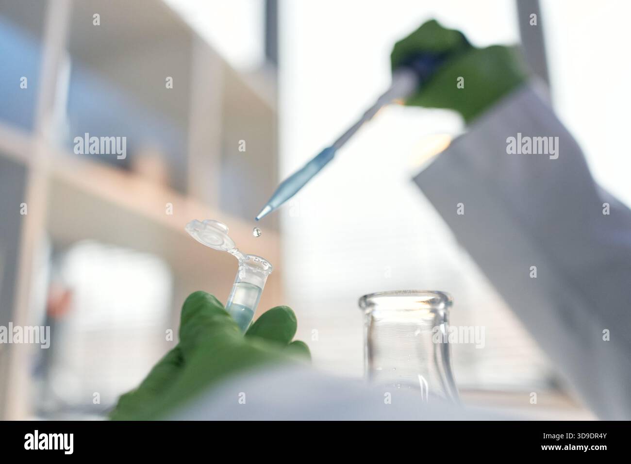 Gloved Hands of Scientist Pipetting Solution in Laboratory Stock Photo ...
