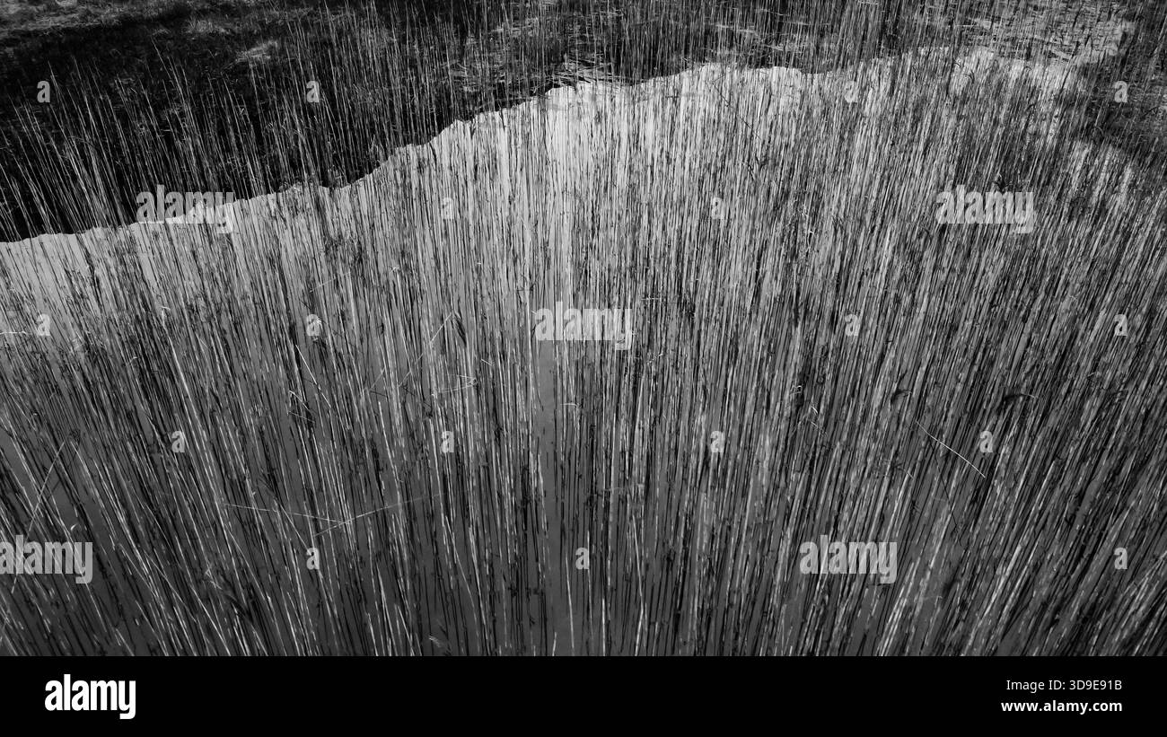 Aerial monochrome view dense hi-res stock photography and images - Alamy
