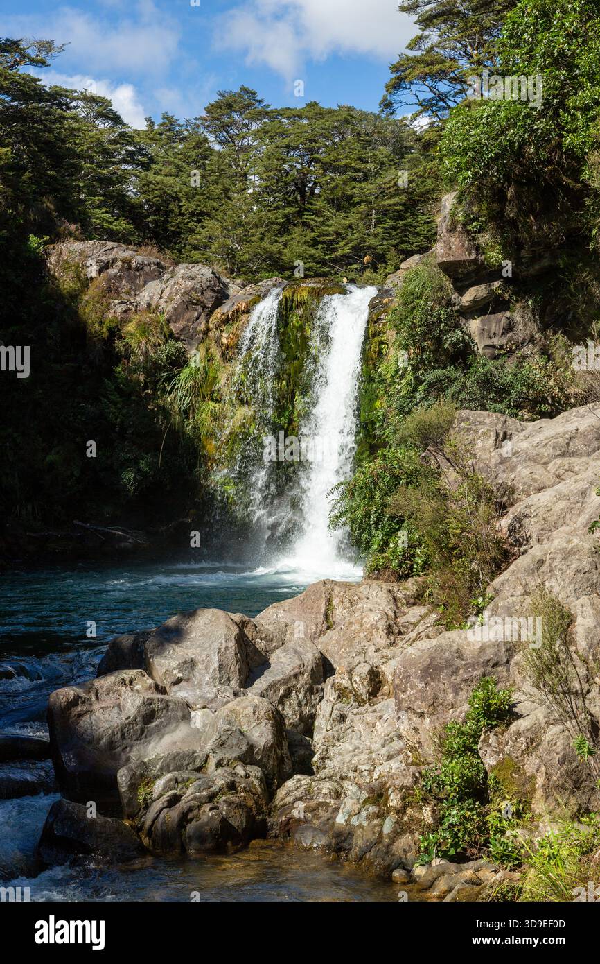 Tawhai Falls (Gollum's Pool) Rocky forest cascade with a pool for ...