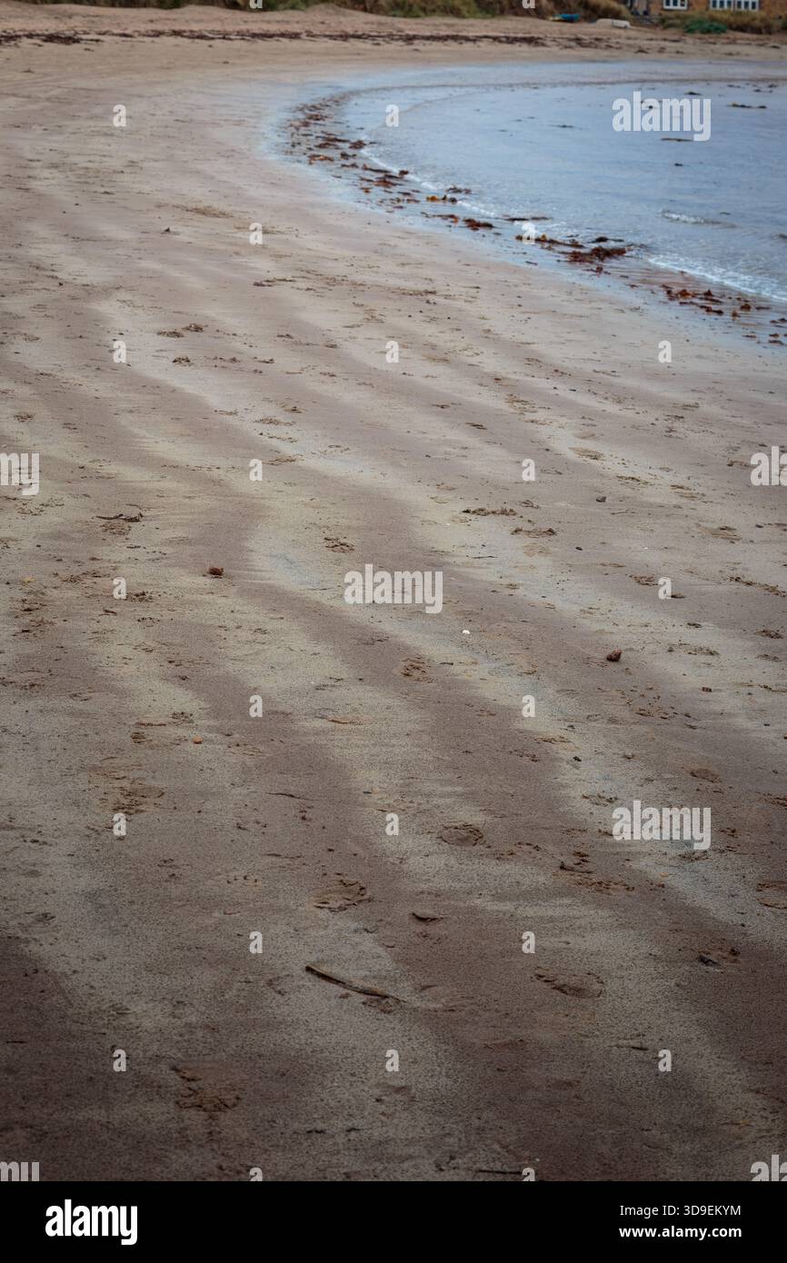 Beach Textures at Beadnell Bay, Northumberland November 2025 Stock ...