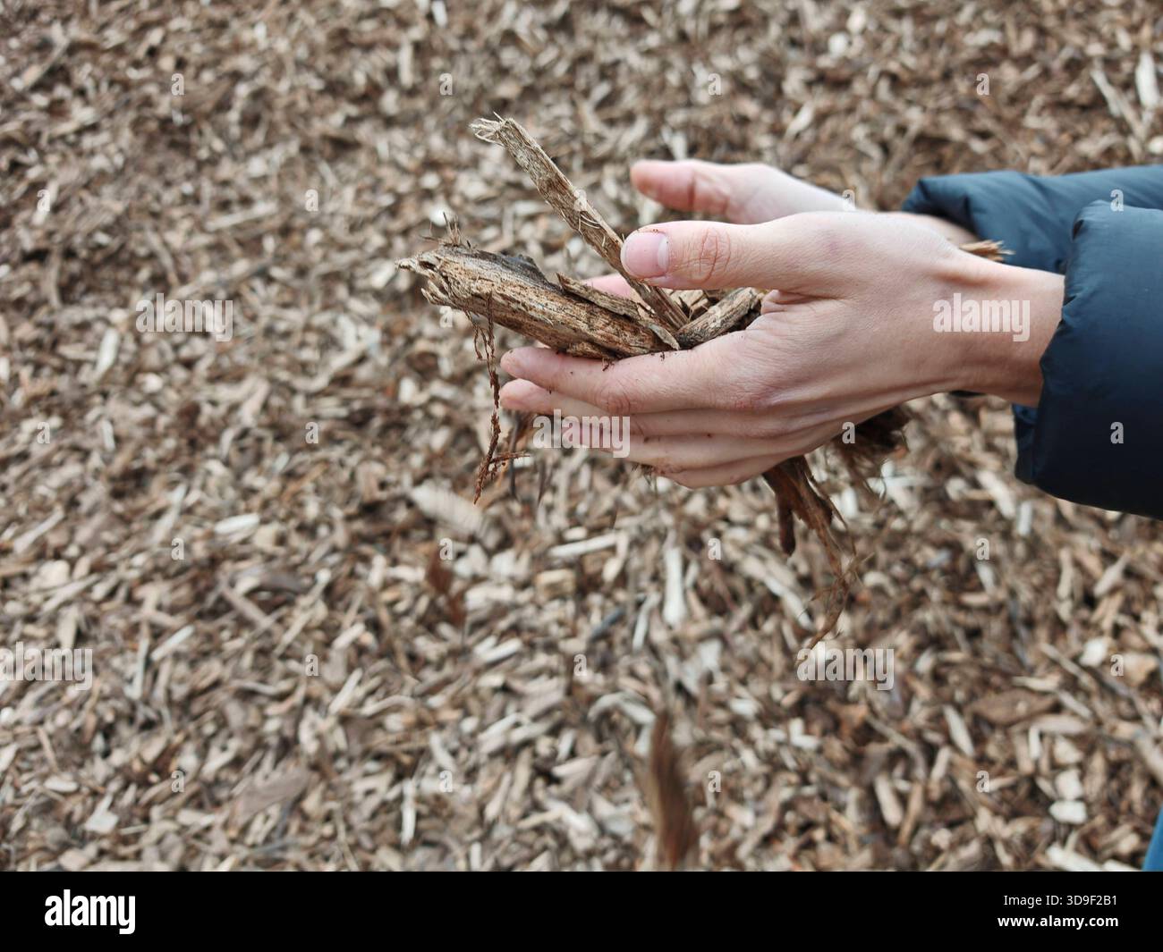 biomass as a renewable heating fuel and energy source biomass is an ...