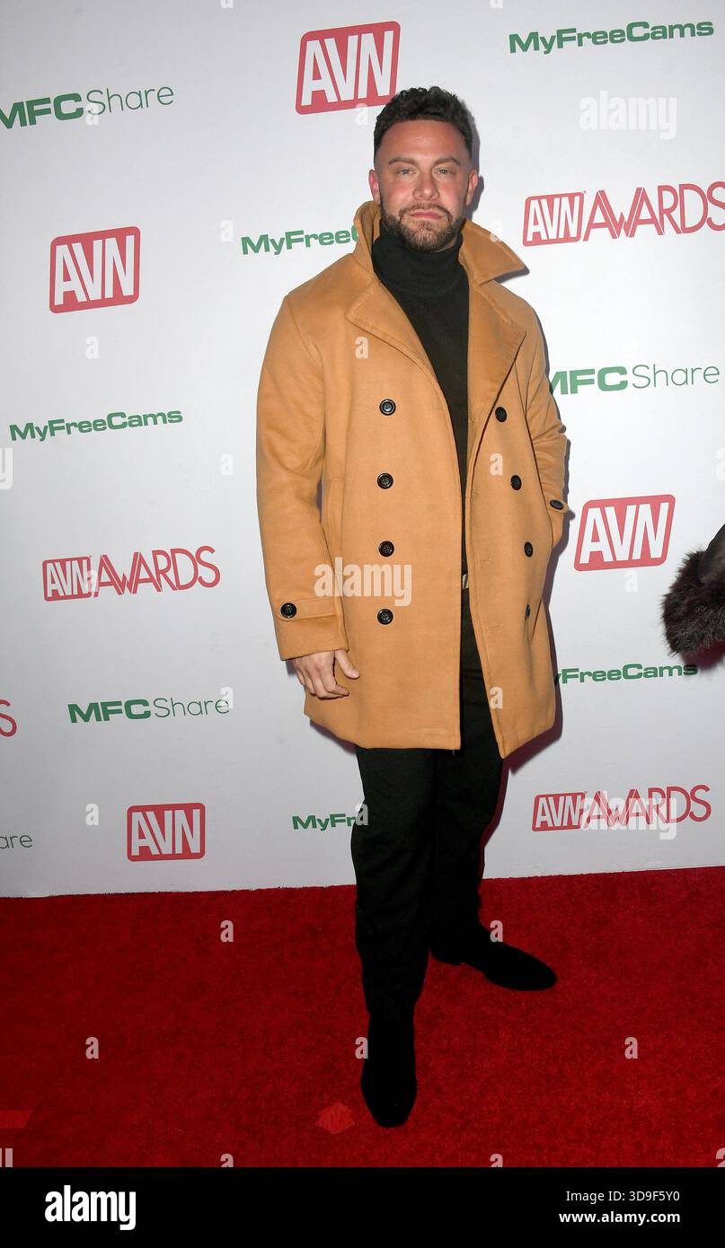 Adult Film Actor Seth Gamble attends the 2026 AVN Nominations Party ...