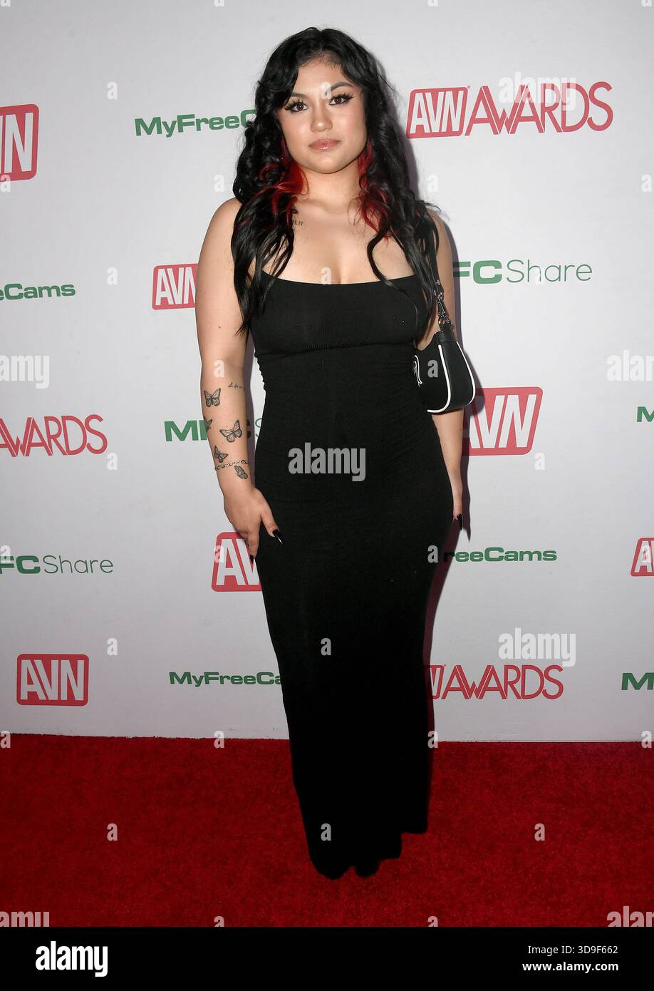 Adult Film Actress Raven Starr attends the 2026 AVN Nominations Party ...