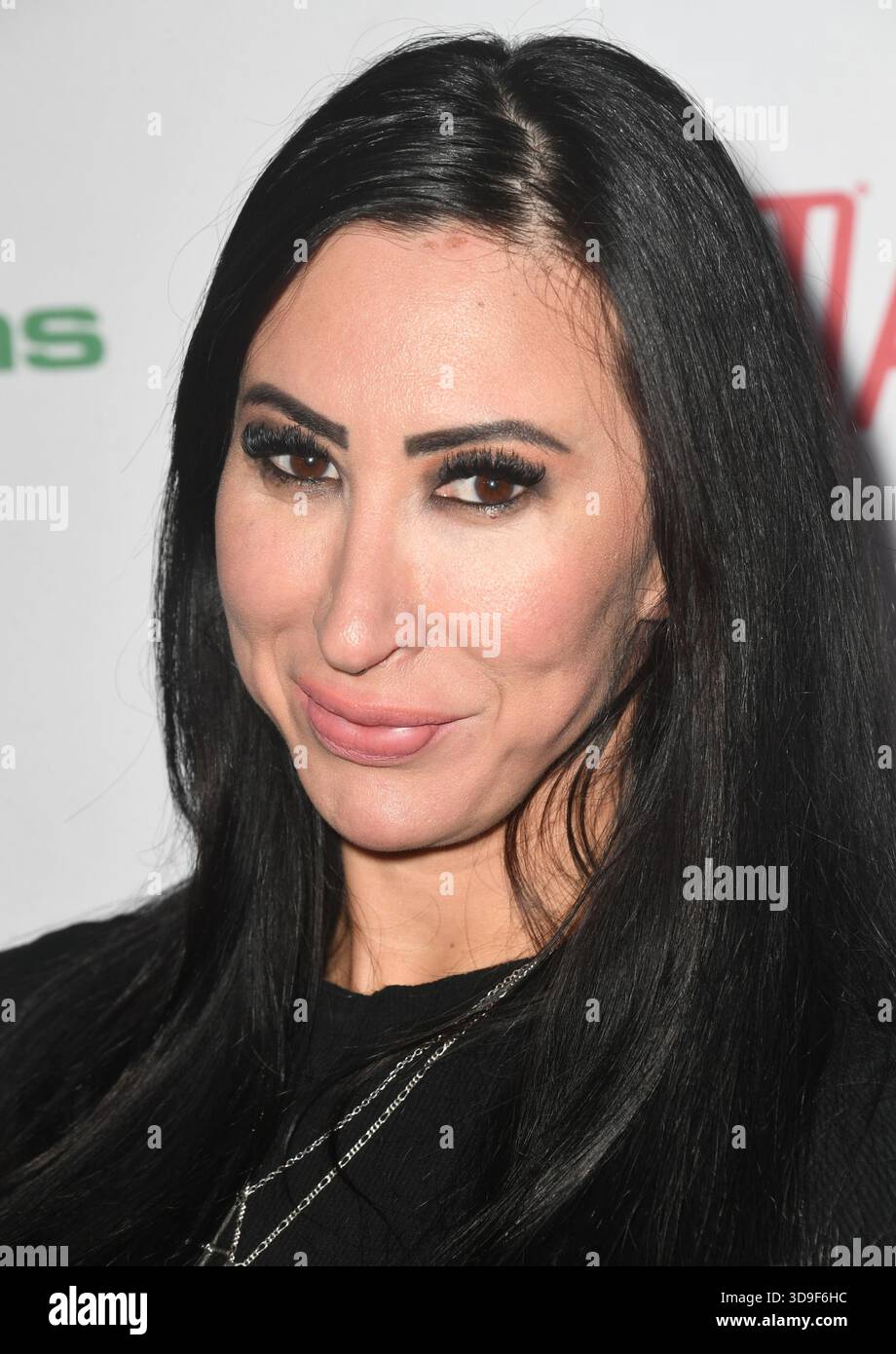 Adult Film Actress Lily Lane attends the 2026 AVN Nominations Party ...