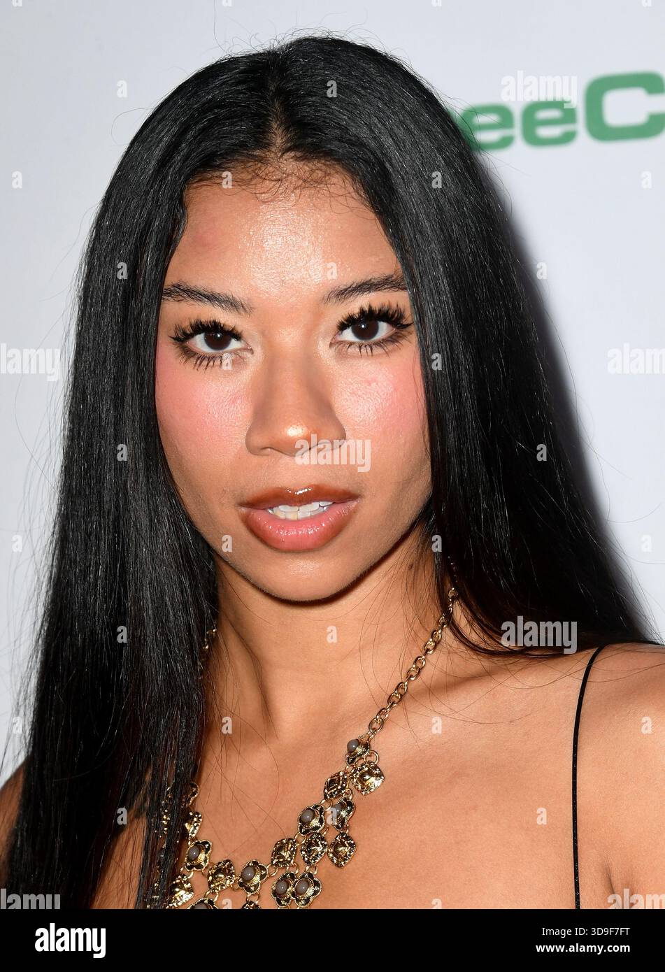 Adult Film Actress Ameena Green attends the 2026 AVN Nominations Party ...