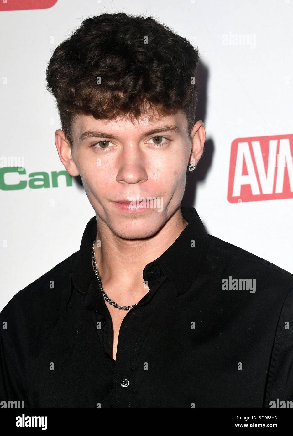Adult Film Actor Drake Von attends the 2026 AVN Nominations Party held ...