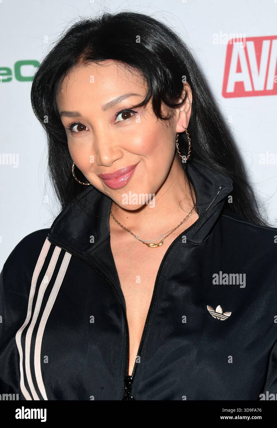 Adult Film Actress Vicki Chase attends the 2026 AVN Nominations Party ...