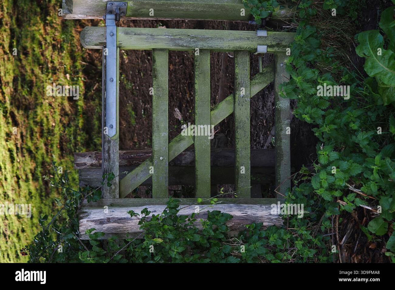 Hinged wooden pedestrian gate in field fence. Dorset, UK Stock Photo ...