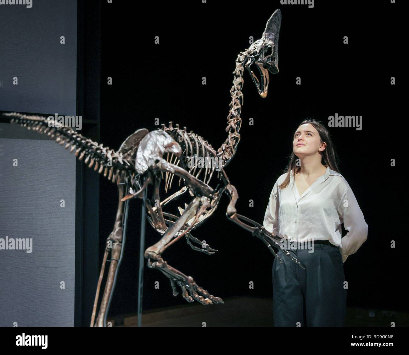 Skeleton on spike hi-res stock photography and images - Alamy