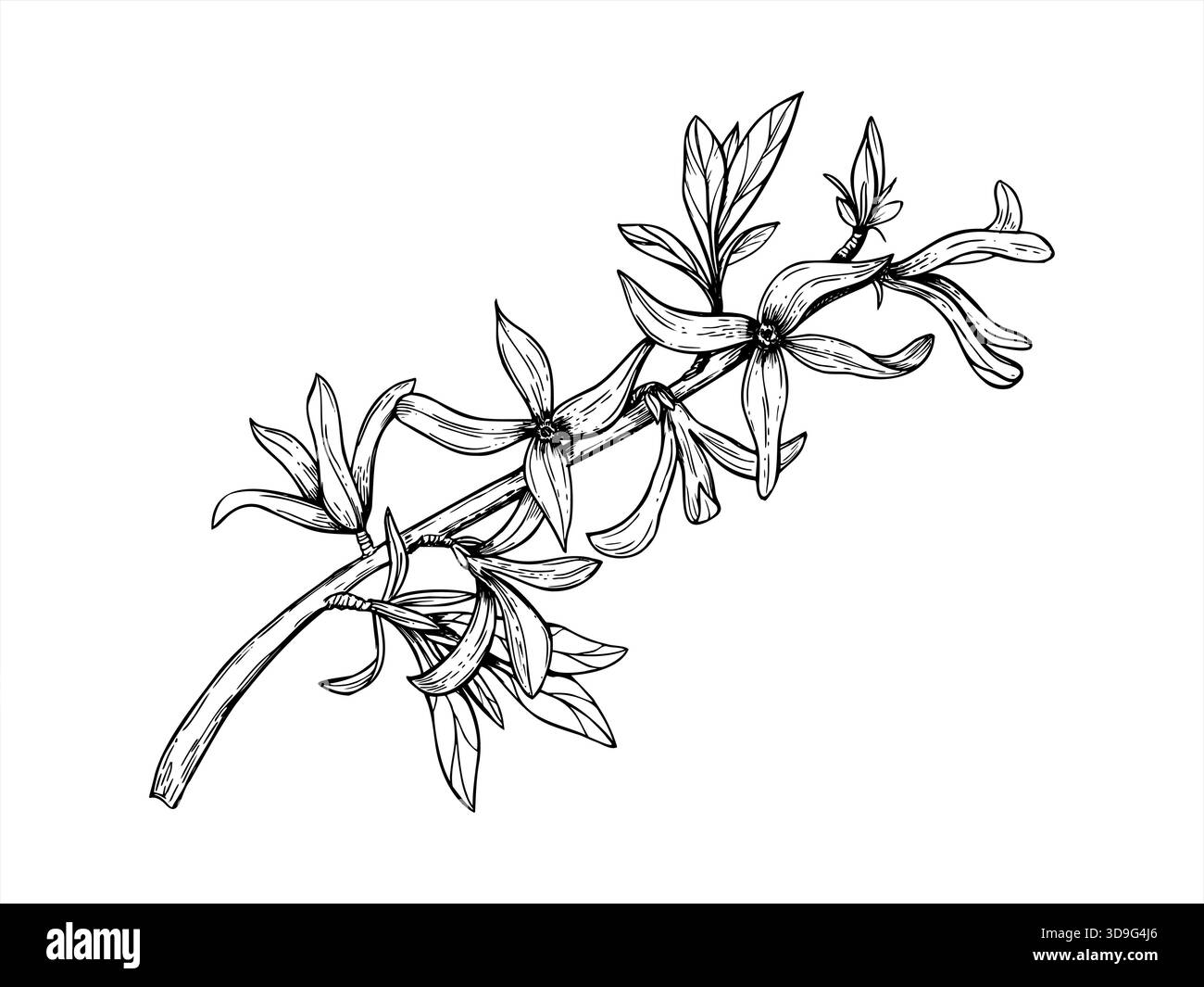 Ink landscape art life Black and White Stock Photos & Images - Alamy