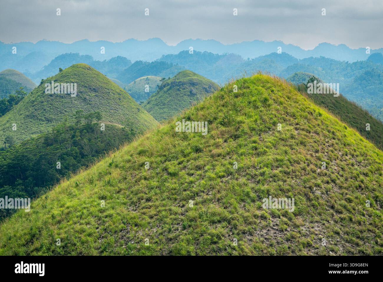 Chocolate Hills Bohol Central Visayas, Philippines Asia Stock Photo - Alamy