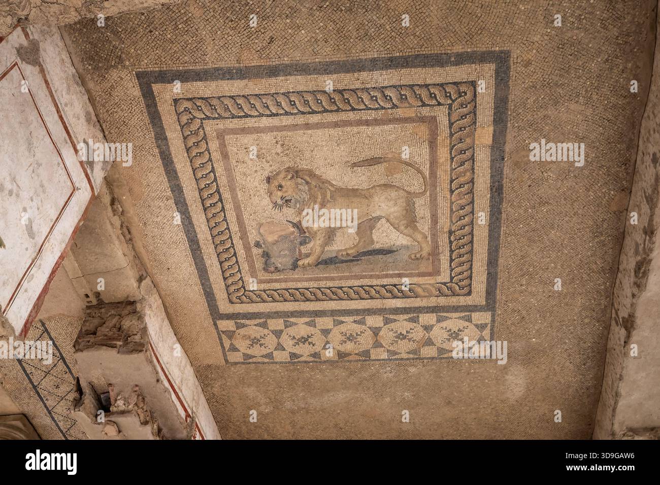 Ruins of ancient Greek city Ephesus. Antique mosaic on the floor of ...