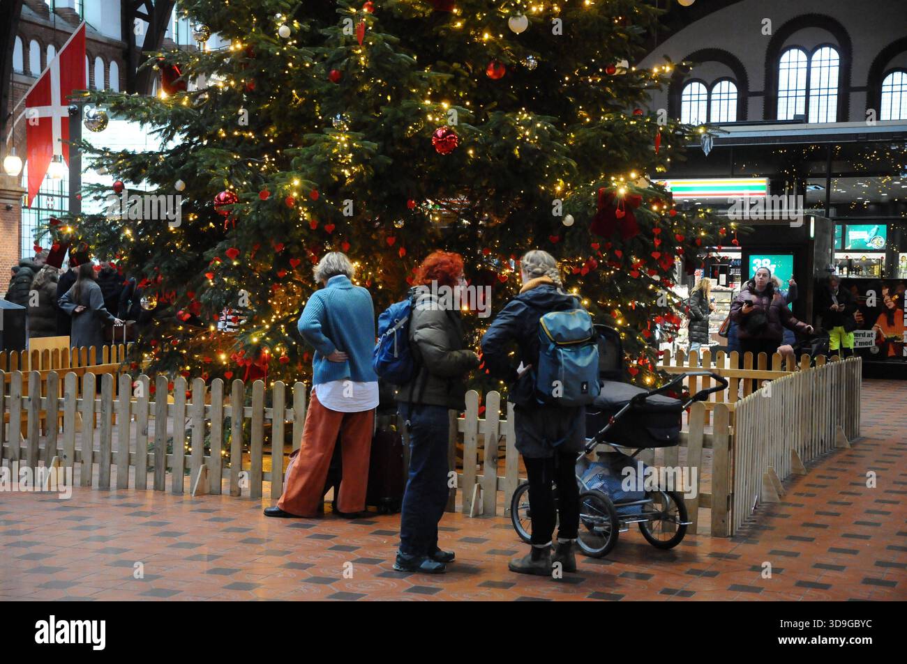 Copenhagen/Denmark/ 05 december 2003/christmas tree and tree decorated ...