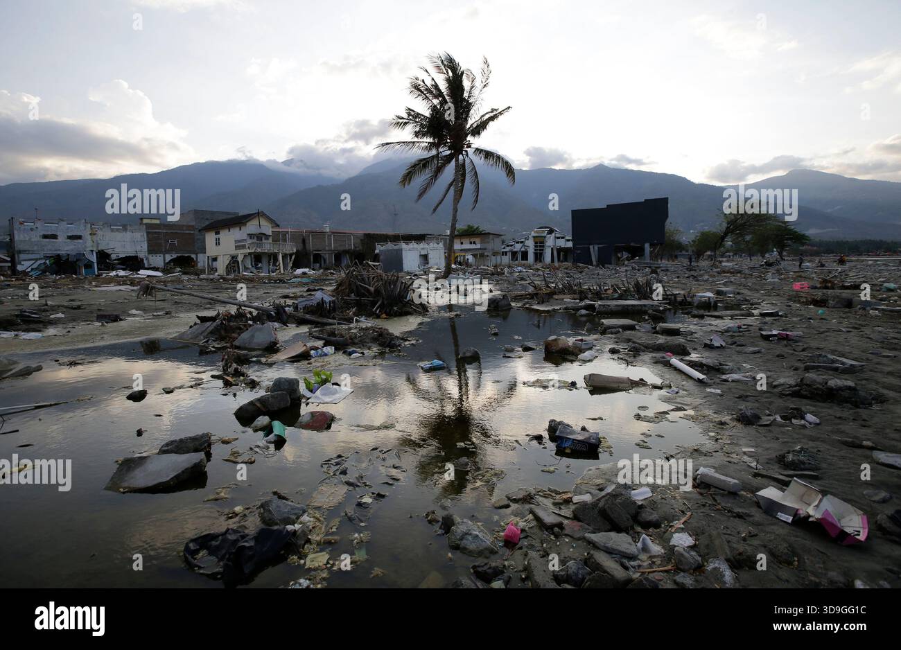 FILE - A lone tree stands in the debris from structures that were wiped ...