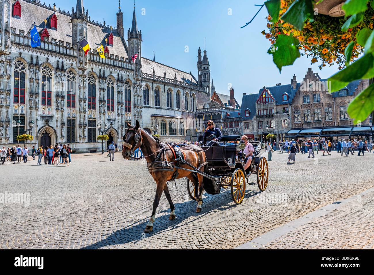 Koets van hi-res stock photography and images - Alamy