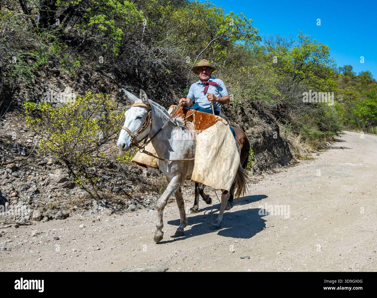 Guardamonte hi-res stock photography and images - Alamy