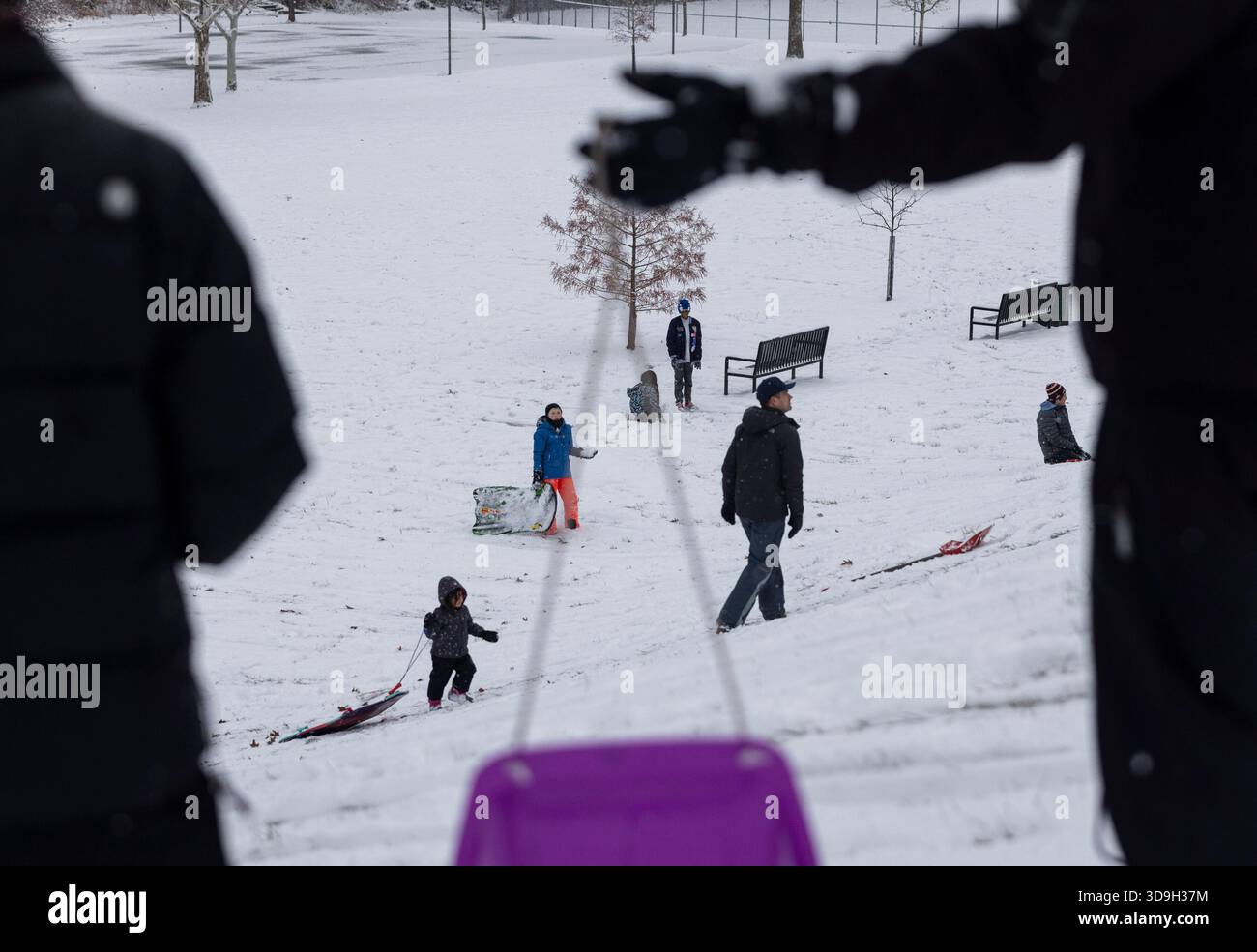 Families sled down the hill and play in the snow at Washington Park in ...