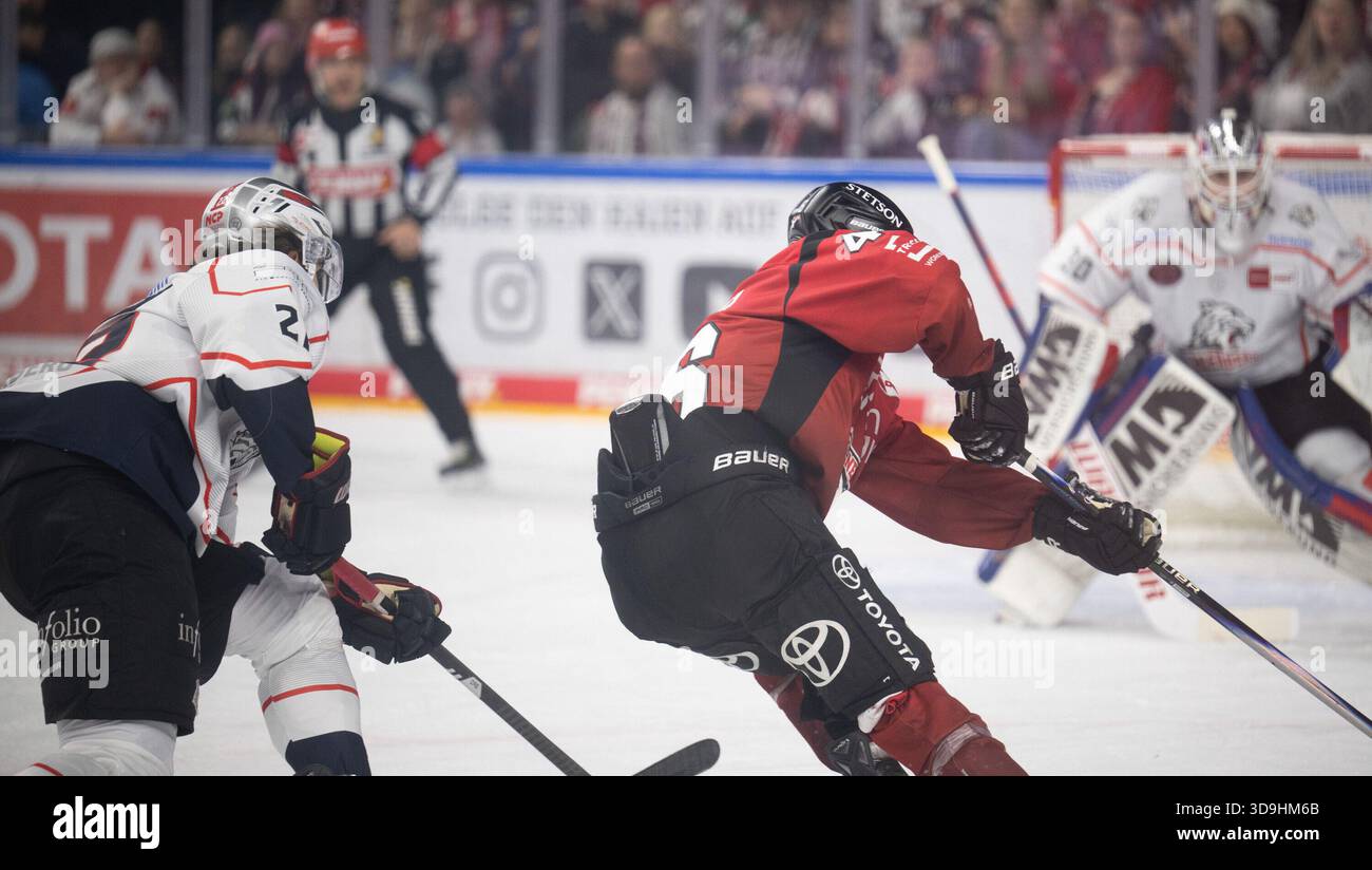 Kevin Niedenz (Cologne Sharks, forward, #46); PENNY DEL; Cologne Sharks ...