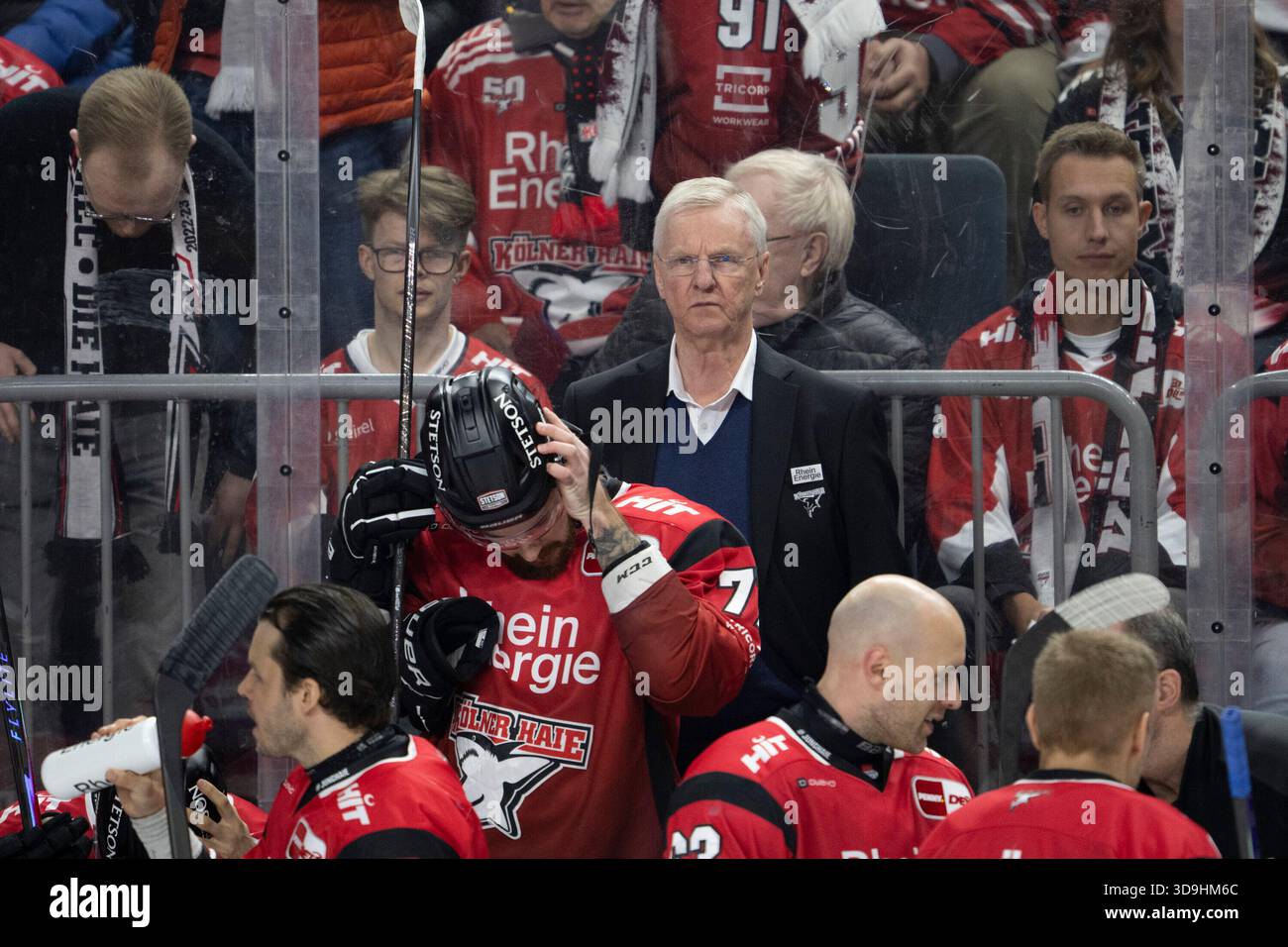 Kari Jalonen (Cologne Sharks, #Head Coach); PENNY DEL 1; Cologne Sharks ...