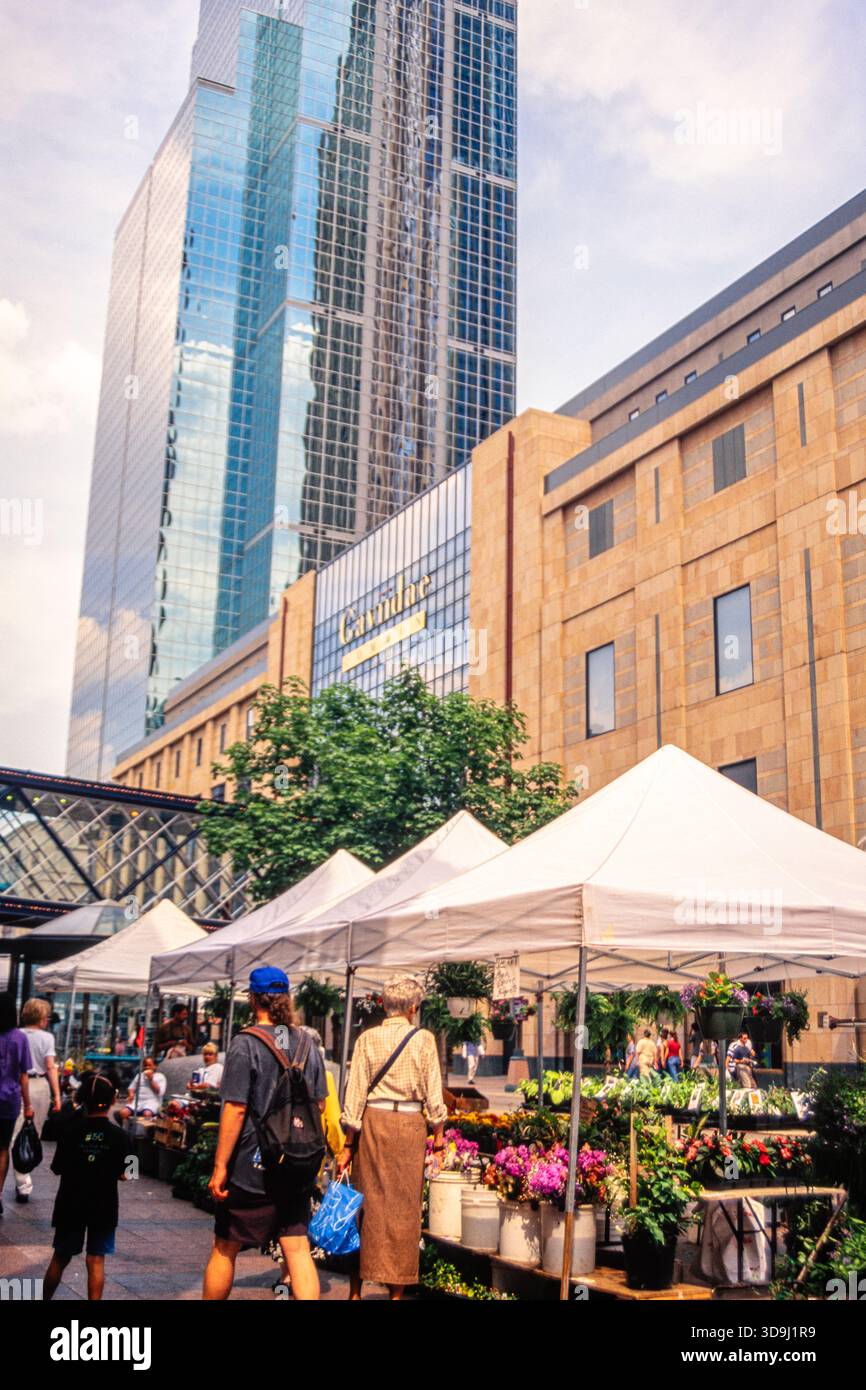 Gaviidae common building hi-res stock photography and images - Alamy