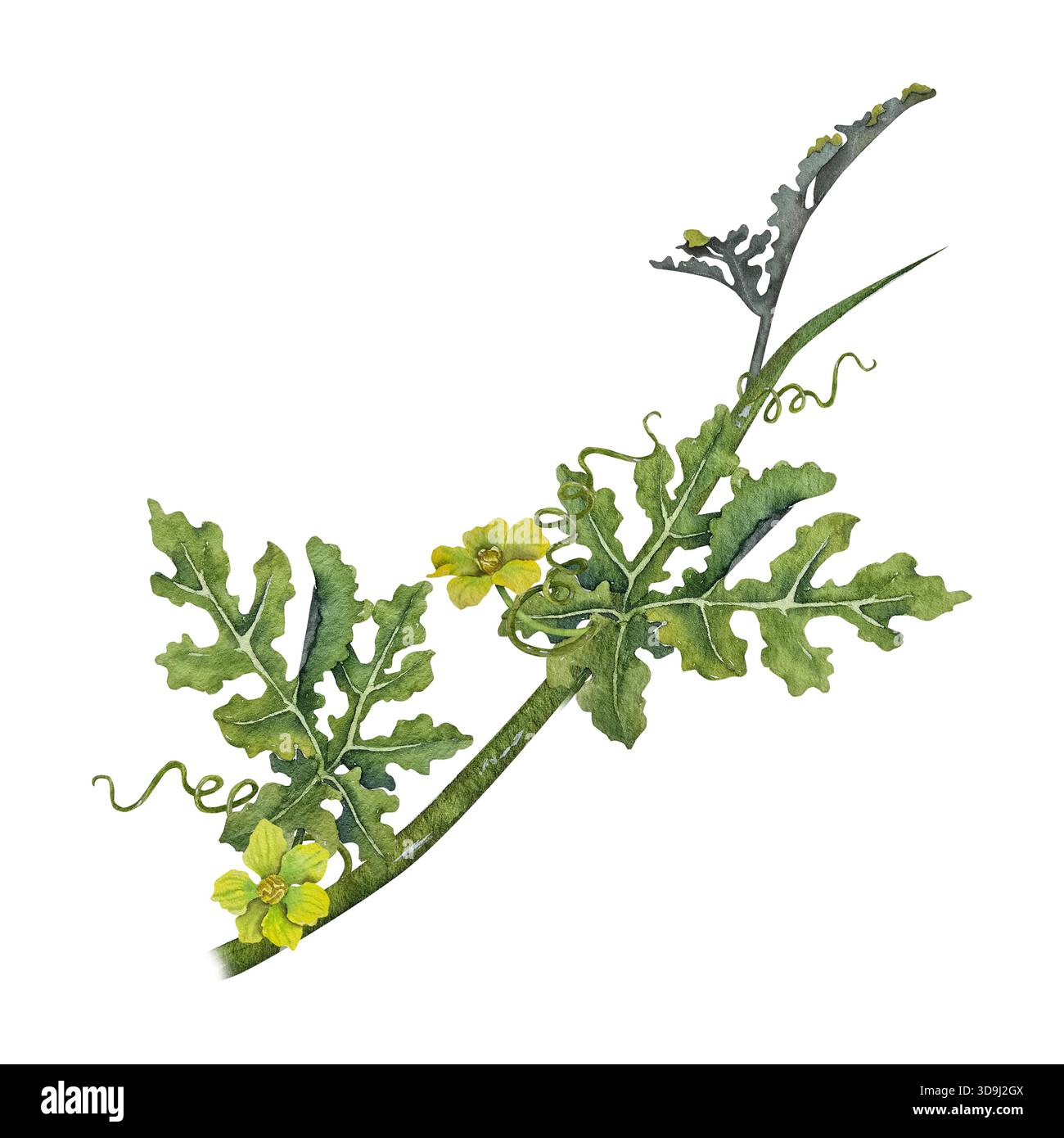 Agricultural projects Cut Out Stock Images & Pictures - Alamy