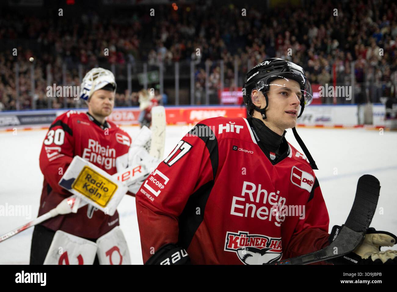 Jan Luca Sennhenn (Cologne Sharks, Defense, #17); PENNY DEL 1; Cologne ...