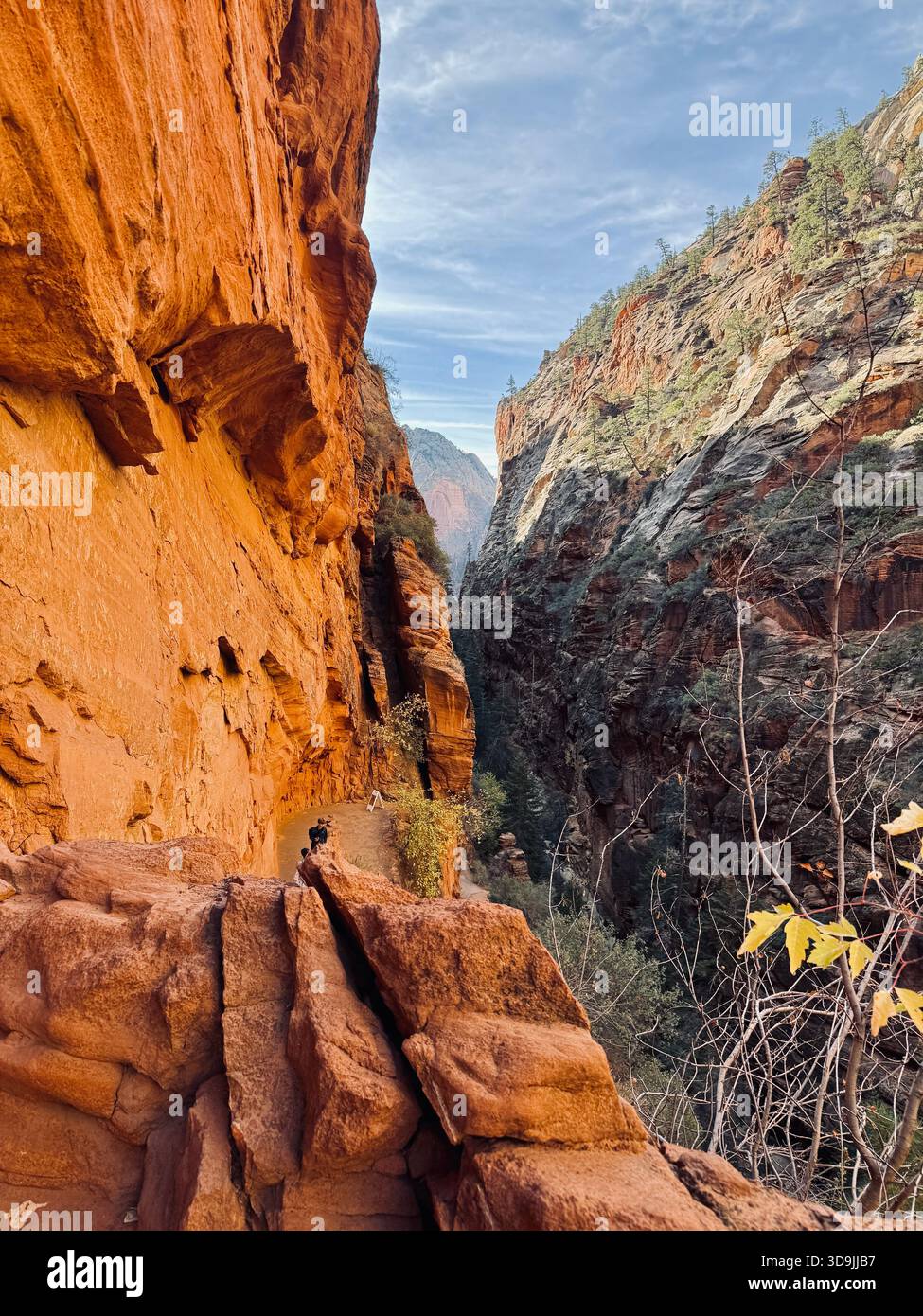Zion National Park, Utah. Grotto shuttle stop 6. breathtaking Scout ...