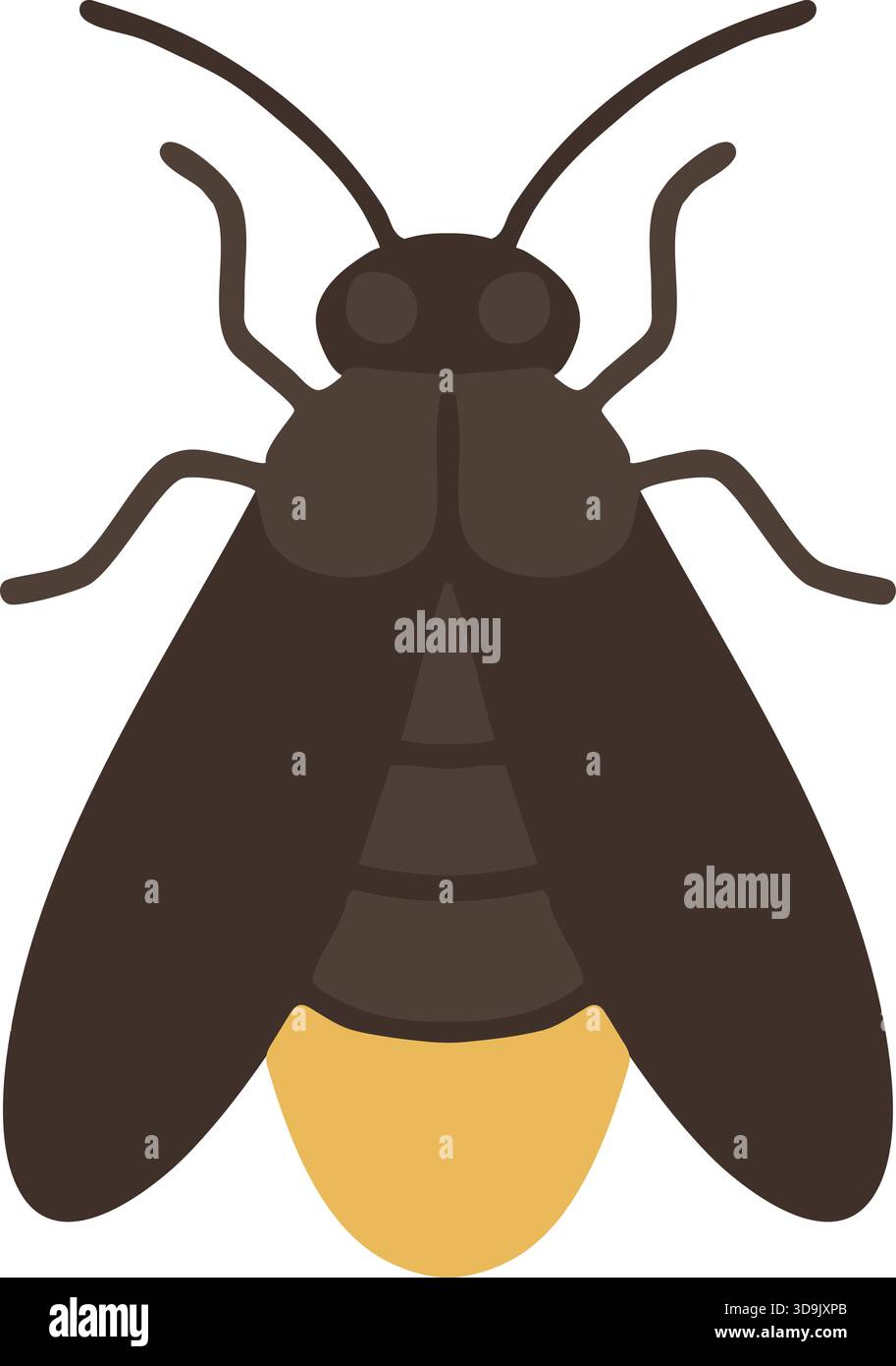 Entomology theme Stock Vector Images - Alamy