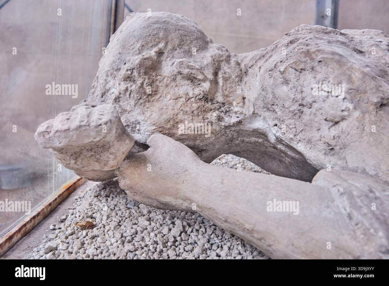 Plaster Cast of Pompeii Victim Stock Photo - Alamy