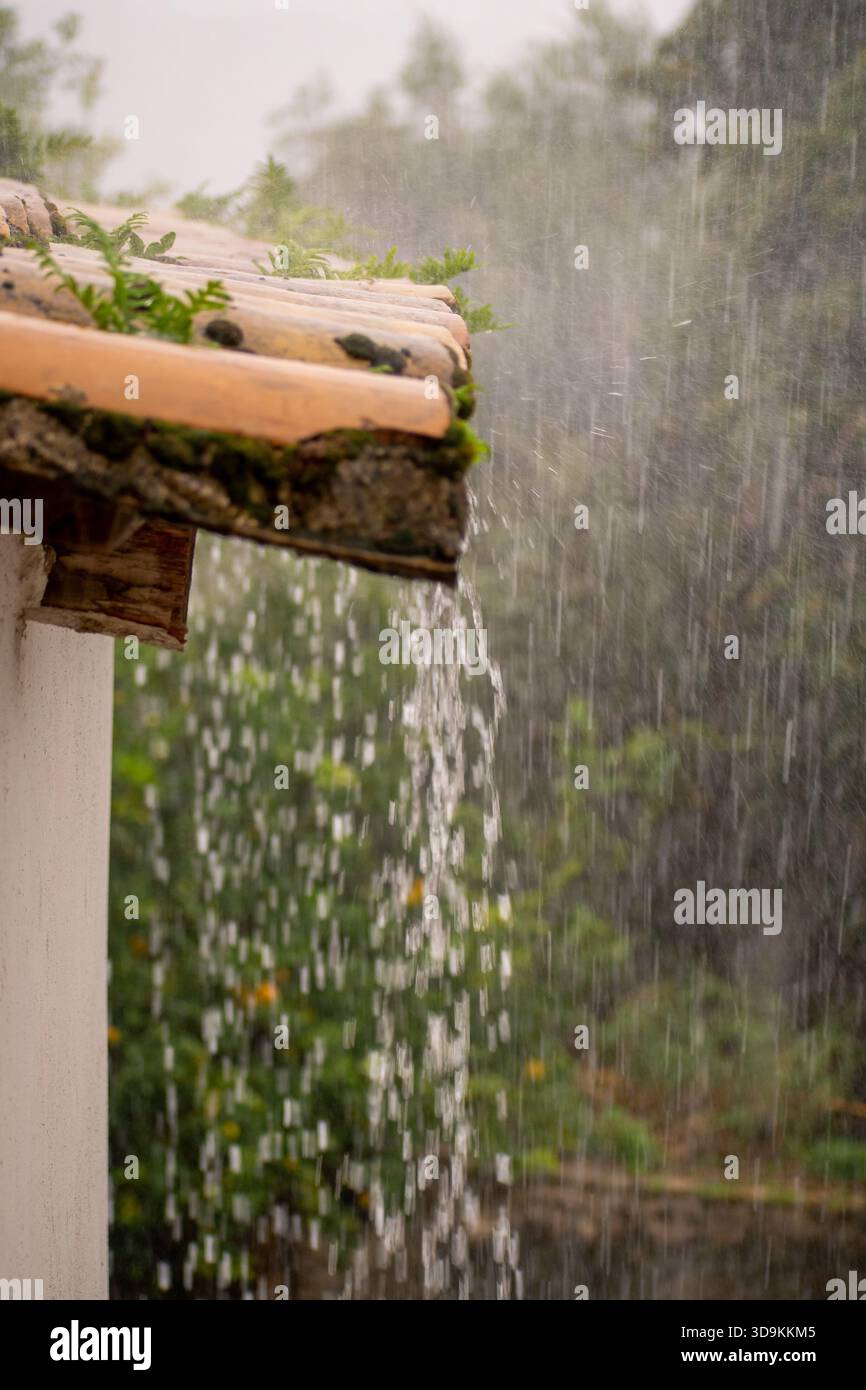 Heavy rain dripping from old hi-res stock photography and images - Alamy