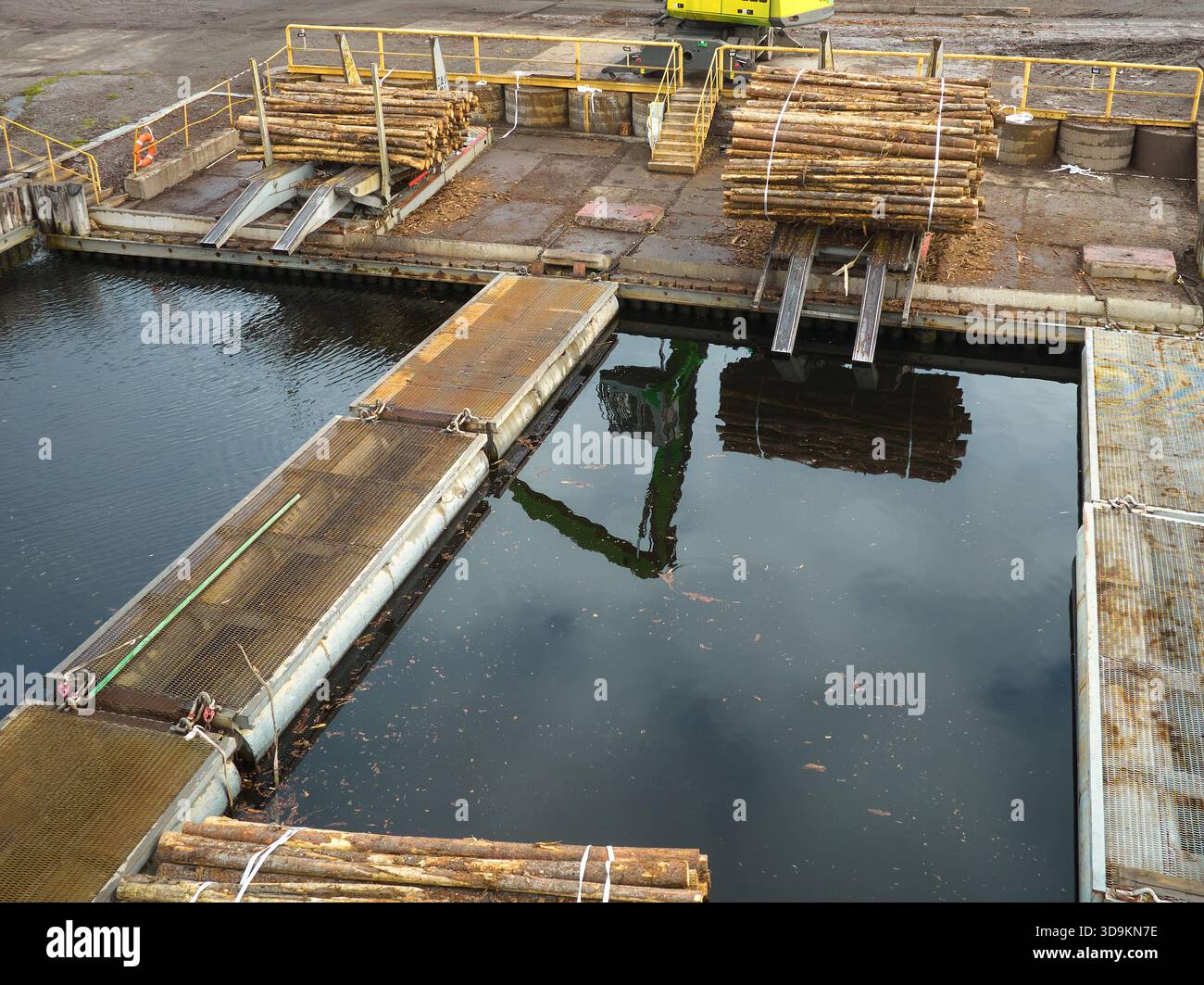 Large water log storage area features stacked logs ready for processing ...