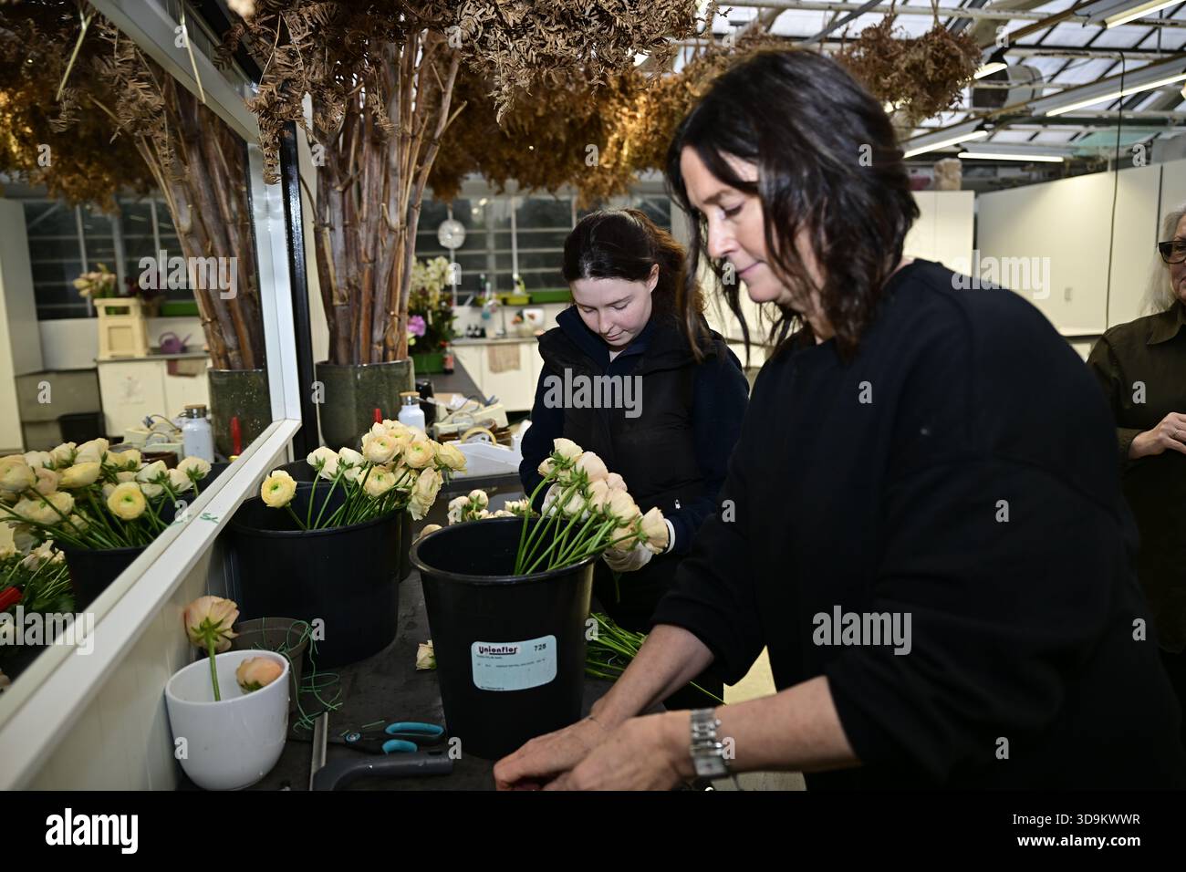Press presentation at Hässelby Blommor, which makes the flower ...