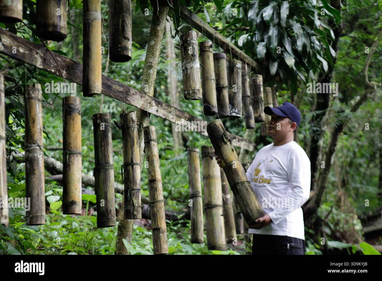 December 6, 2025, West Bandung, West Java, Indonesia: A beekeeper ...