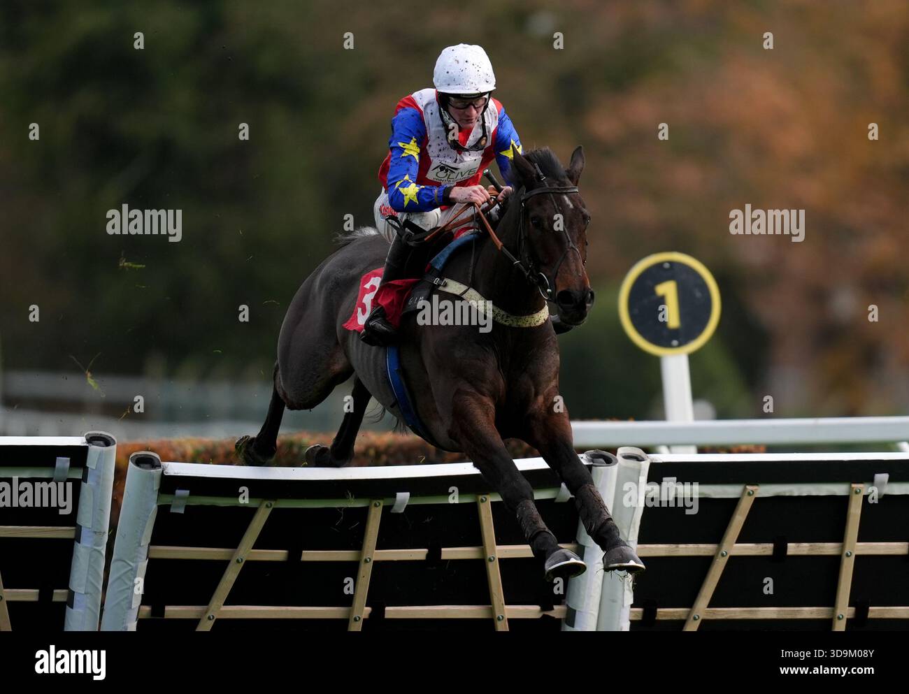 Hurricane Pat ridden by Caoilin Quinn jumps the last on the way to ...