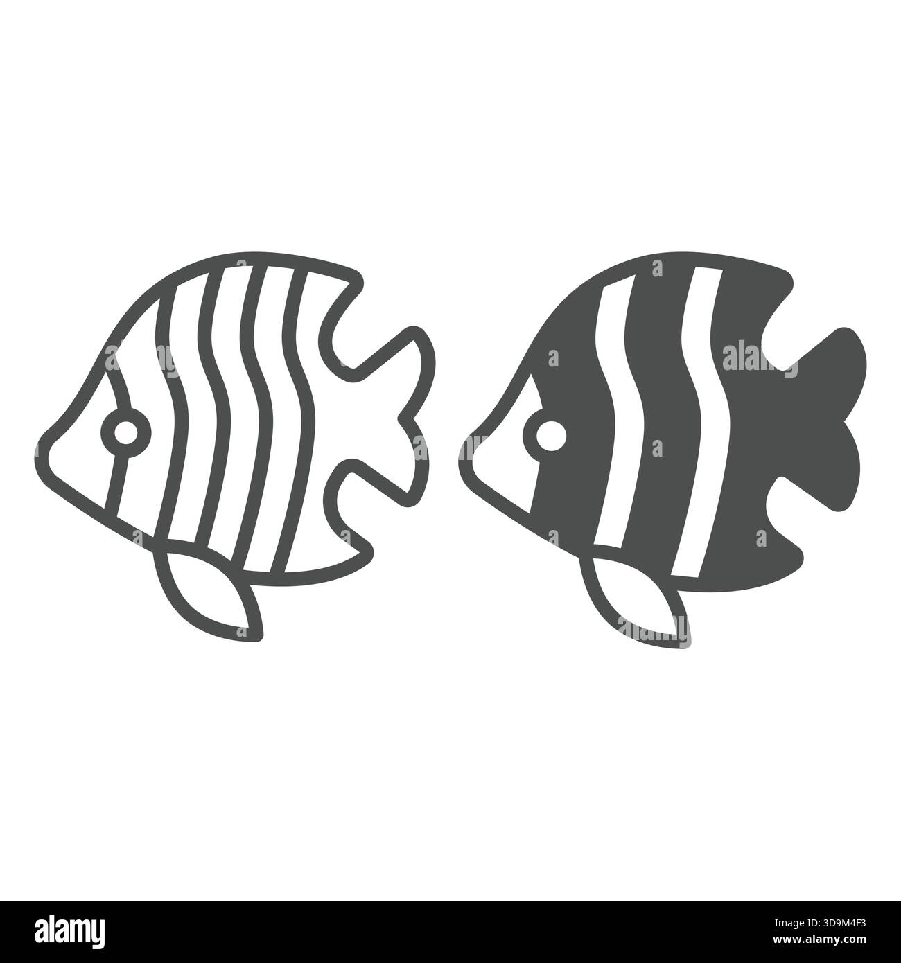 Rare tropical fish Black and White Stock Photos & Images - Alamy