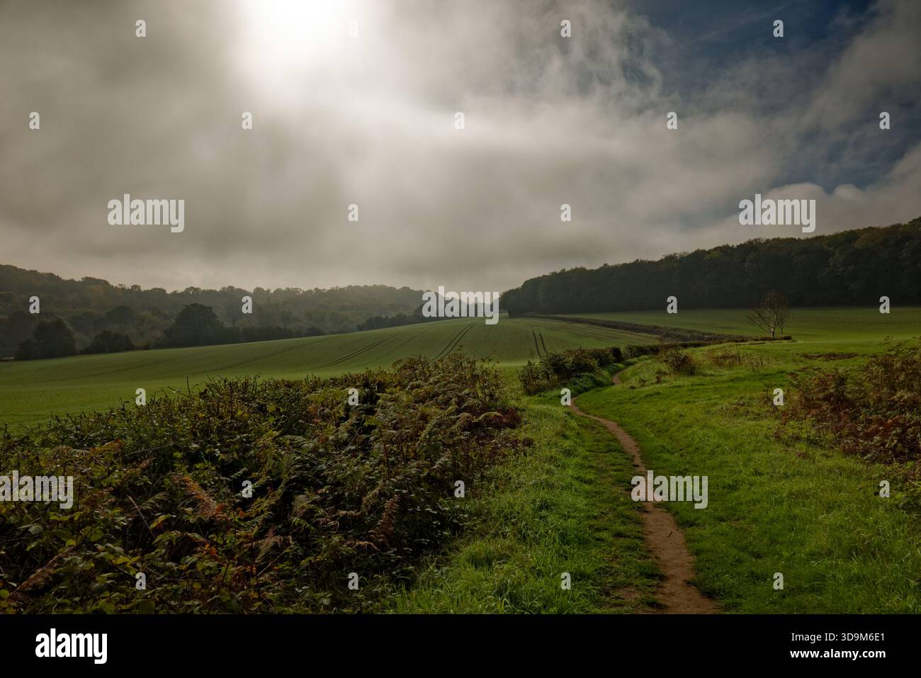 A path with a hedge leads across fields toward woodland in a valley as ...