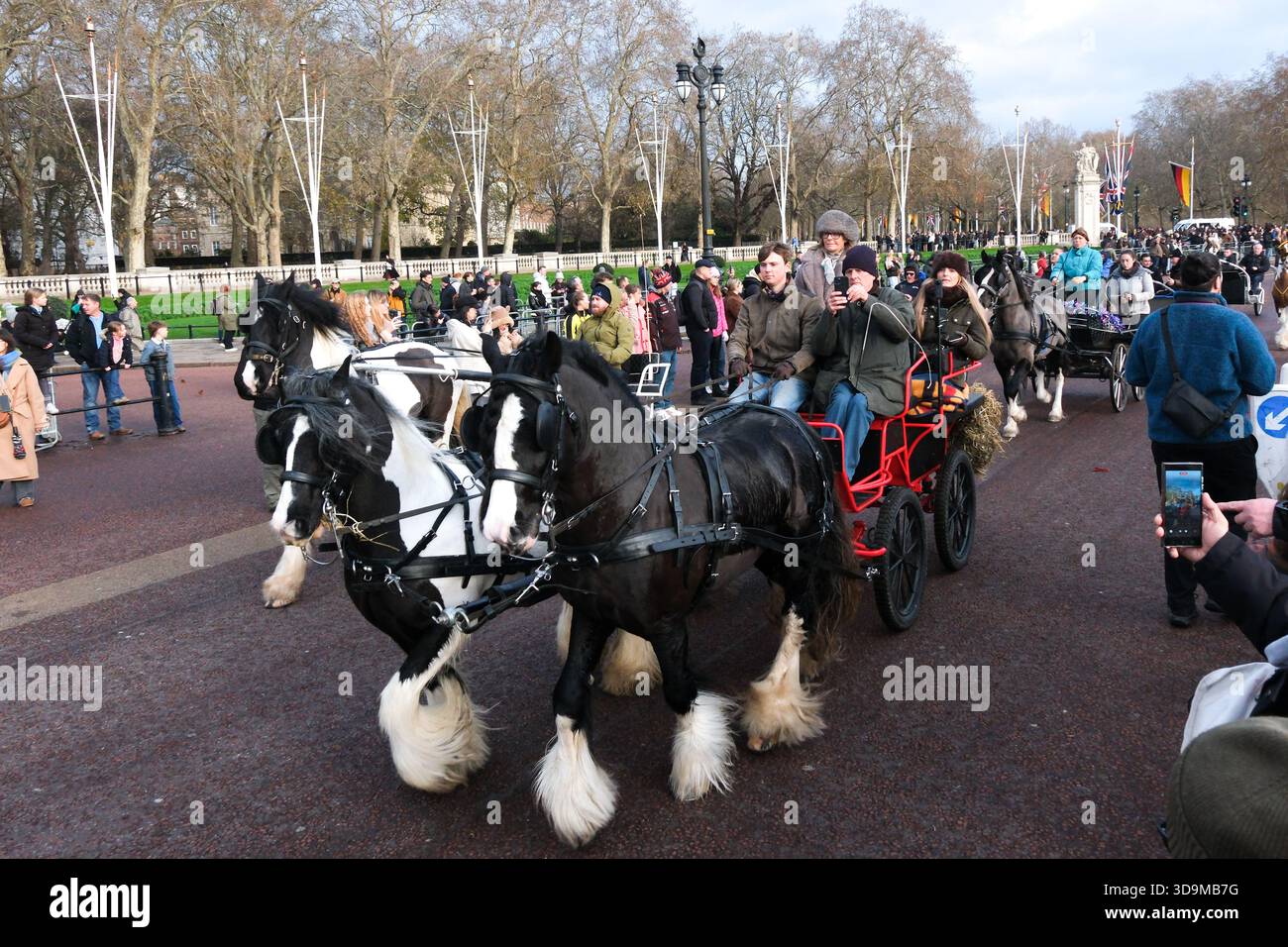 Buckingham Palace, London, UK. 6th Dec 2025. Travellers and their pony ...