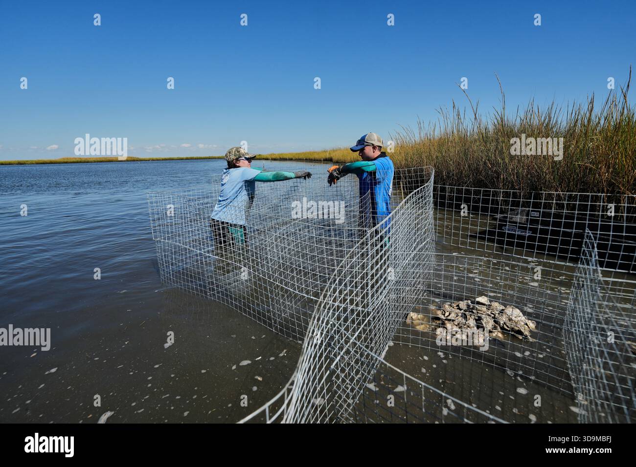Volunteers set up wire mesh containment during a reef barrier project ...
