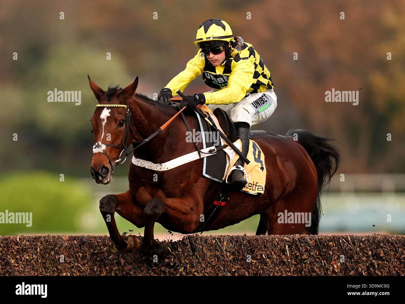 Lulamba ridden by Nico de Boinville jumps the last on the way to ...
