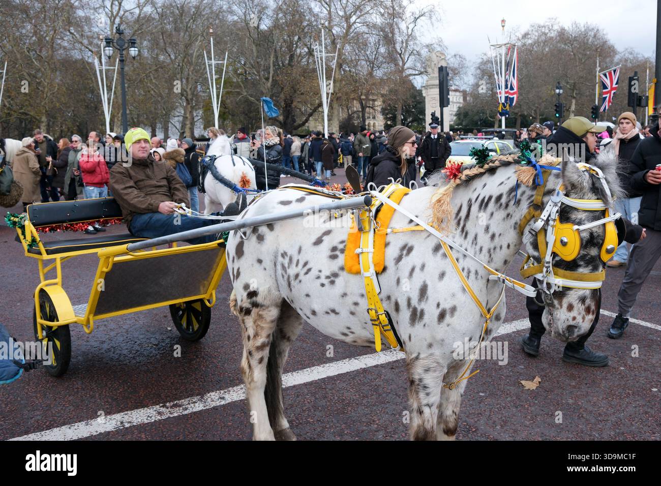 Buckingham Palace, London, UK. 6th Dec 2025. Travellers and their pony ...