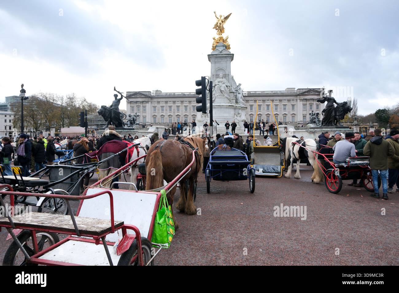Buckingham Palace, London, UK. 6th Dec 2025. Travellers and their pony ...