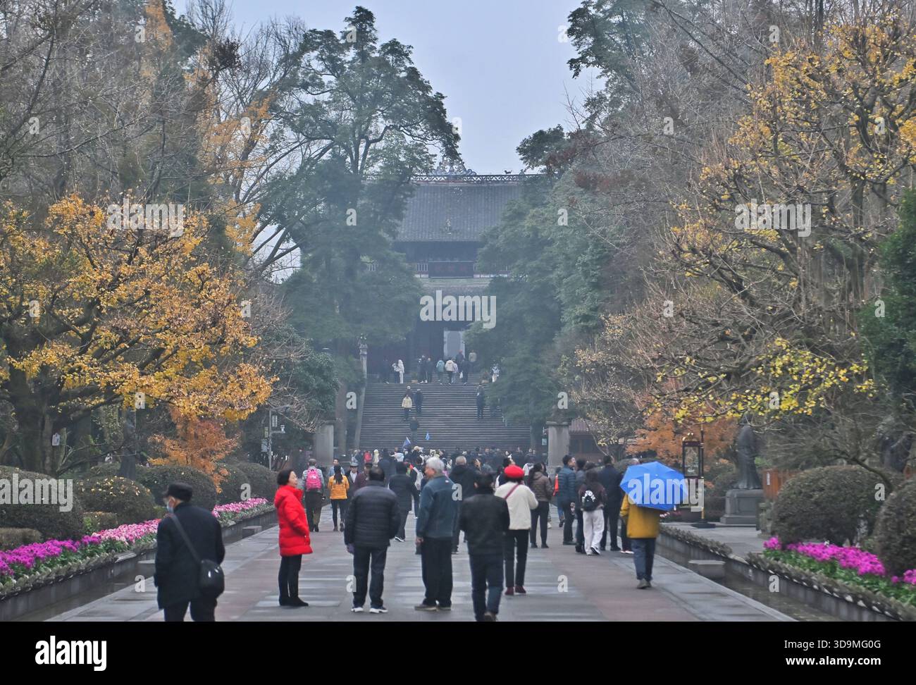 (251206) -- CHENGDU, Dec. 6, 2025 (Xinhua) -- Tourists visit Yangongdao ...