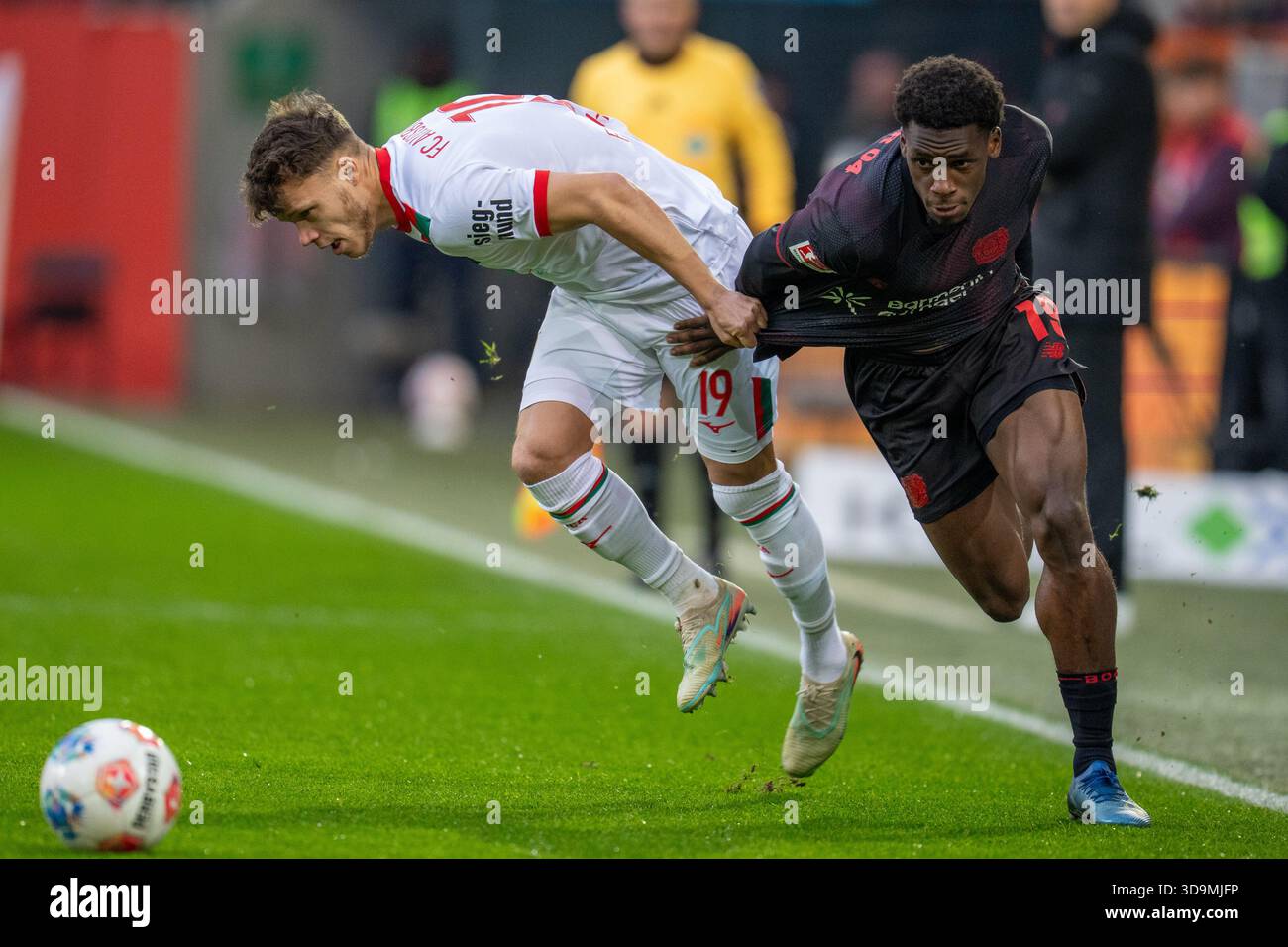 Robin fellhauer hi-res stock photography and images - Alamy