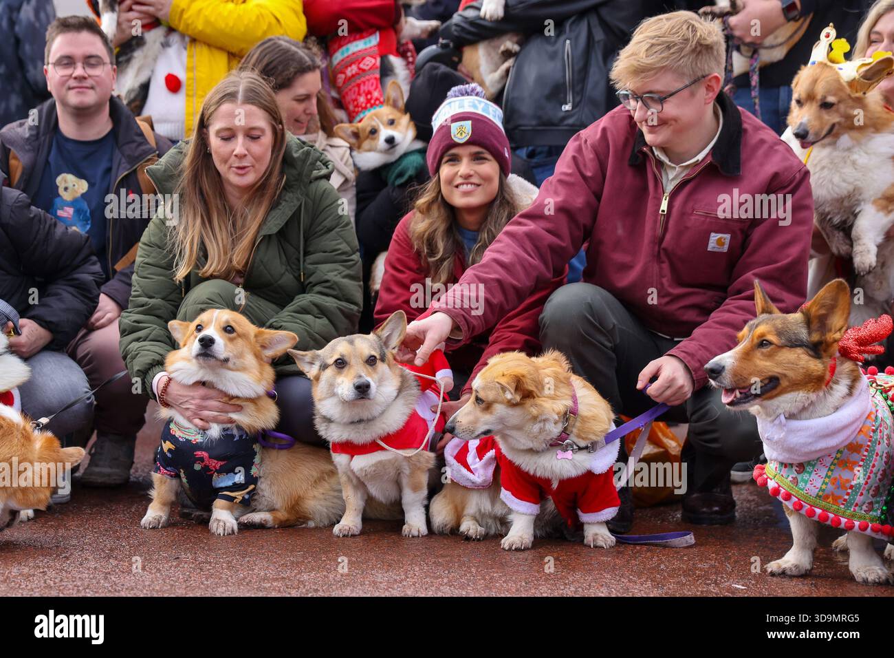 London. UK. 06 Dec 2025. Corgis wearing Christmas jumpers took part in ...