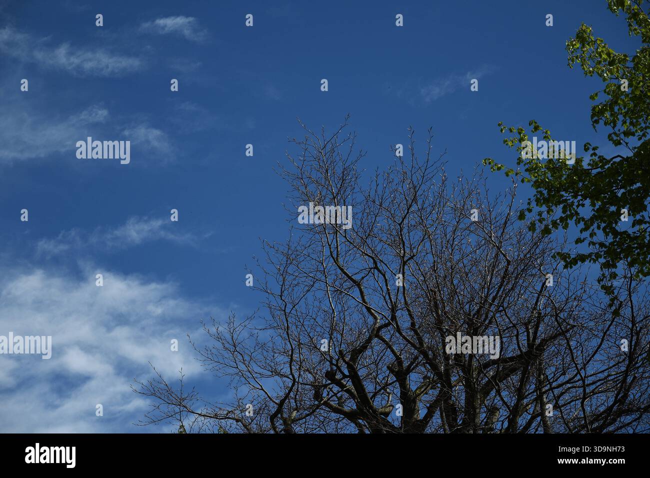 Mai wetter 2018 hi-res stock photography and images - Alamy