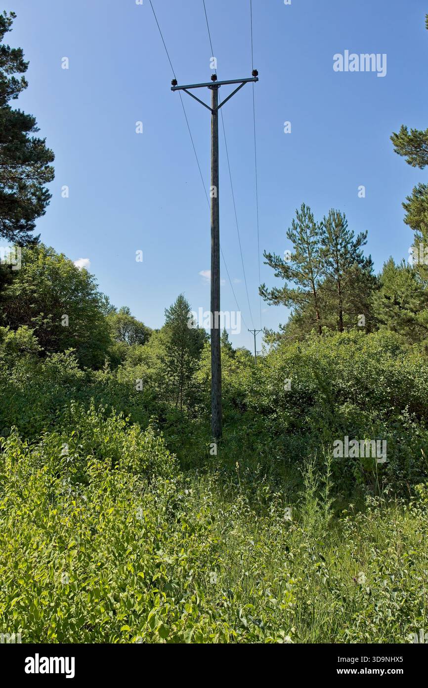 Wooden utility pole supports hi-res stock photography and images - Alamy