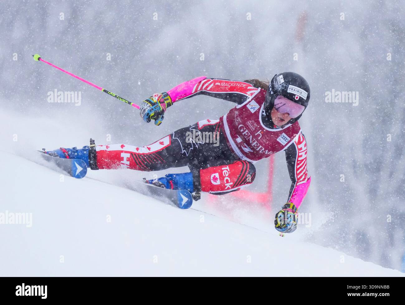 Britt Richardson of Canada speeds down the course as she races in the ...